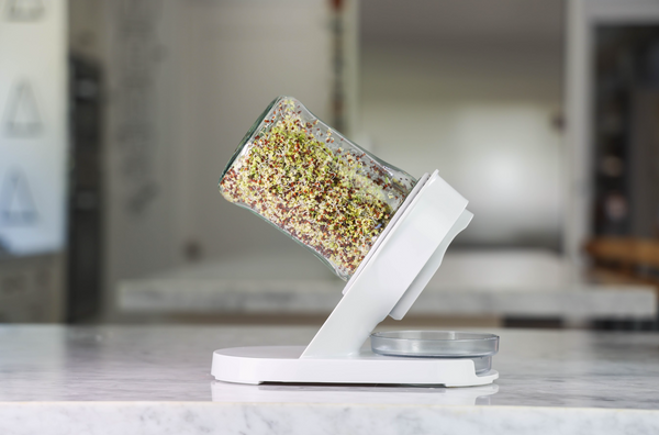 Sprouts: Your Tiny, Green Shield Against Cancer? - The Sprouting Company