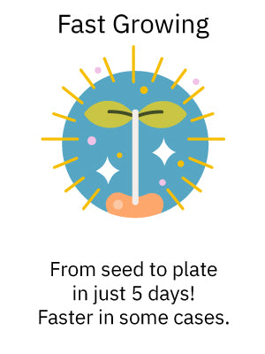 The Sprouting Company