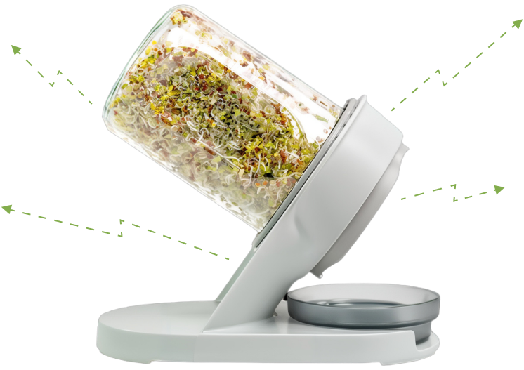 Learn How – The Sprouting Company