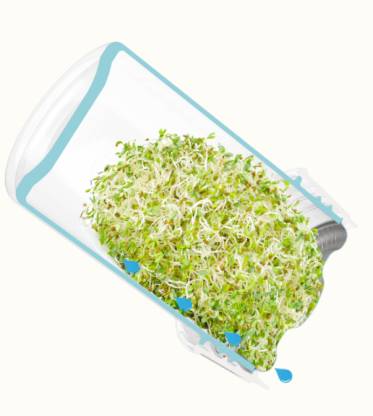 The Sprouting Company