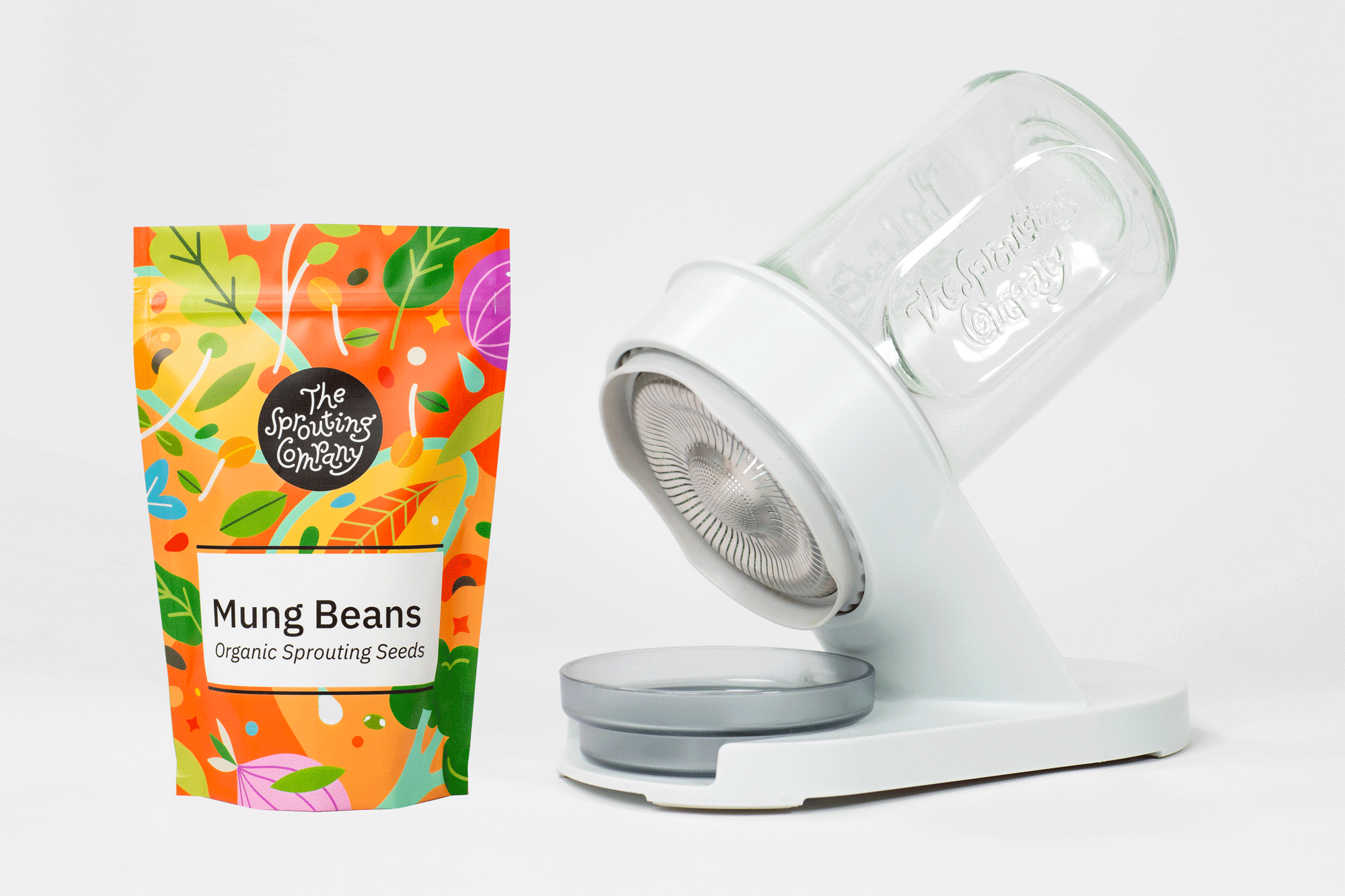 Starter Kit: Mung Bean 1lb - The Sprouting Company