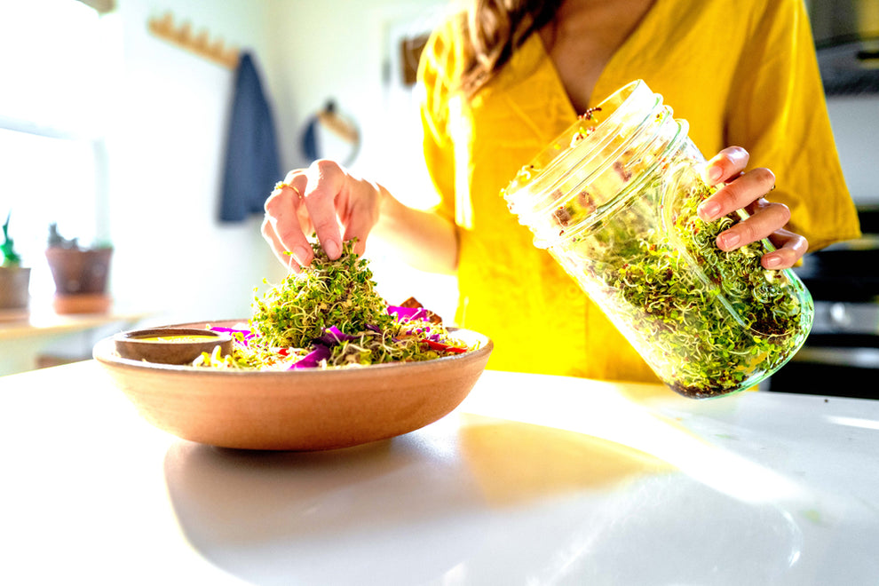 Sprouter – The Sprouting Company