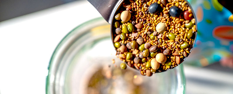 About - The Sprouting Company