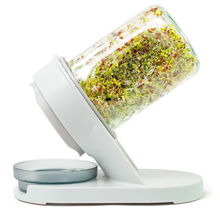 Porfolio Categories - The Sprouting Company