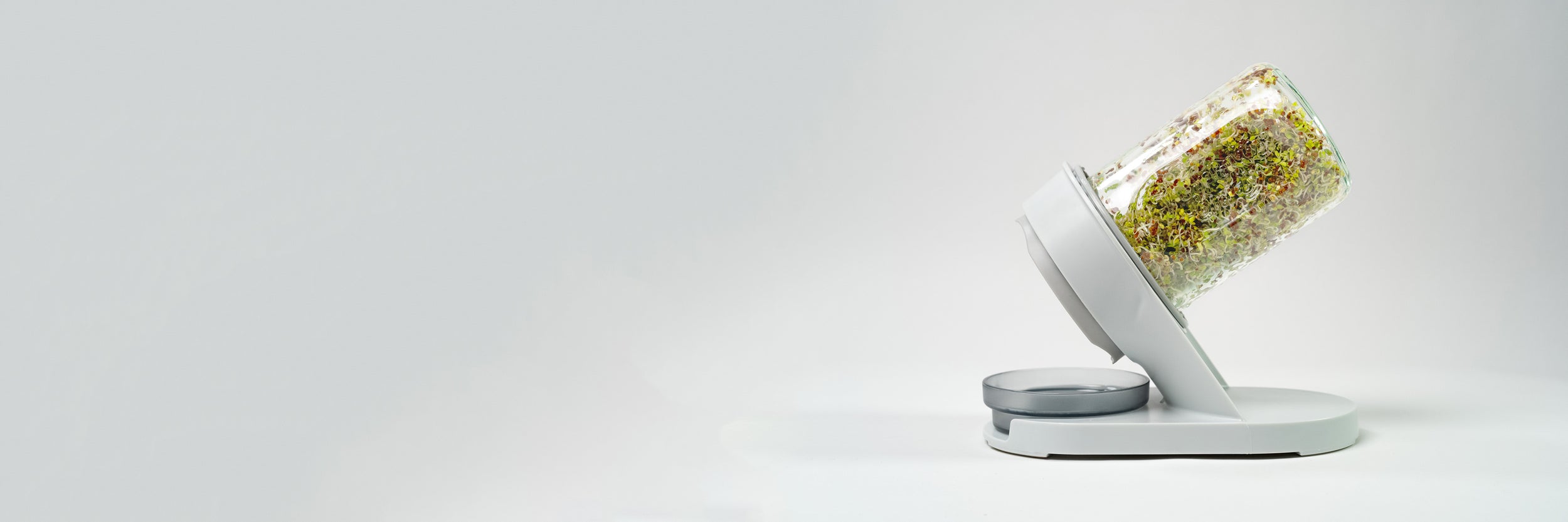 The Sprouting Company