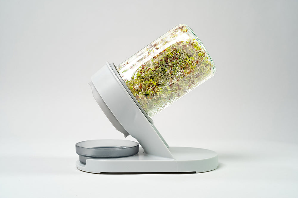 All – The Sprouting Company